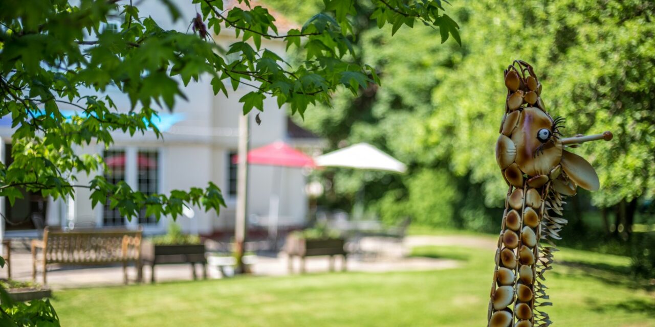 Gardens - Chelston Park Nursing & Residential Home
